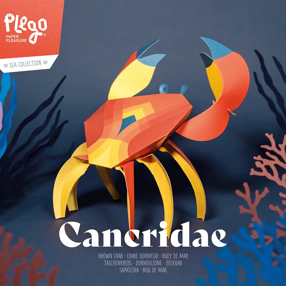 Crab - 3D Paper Figure By Plego – Landmarks Unlimited