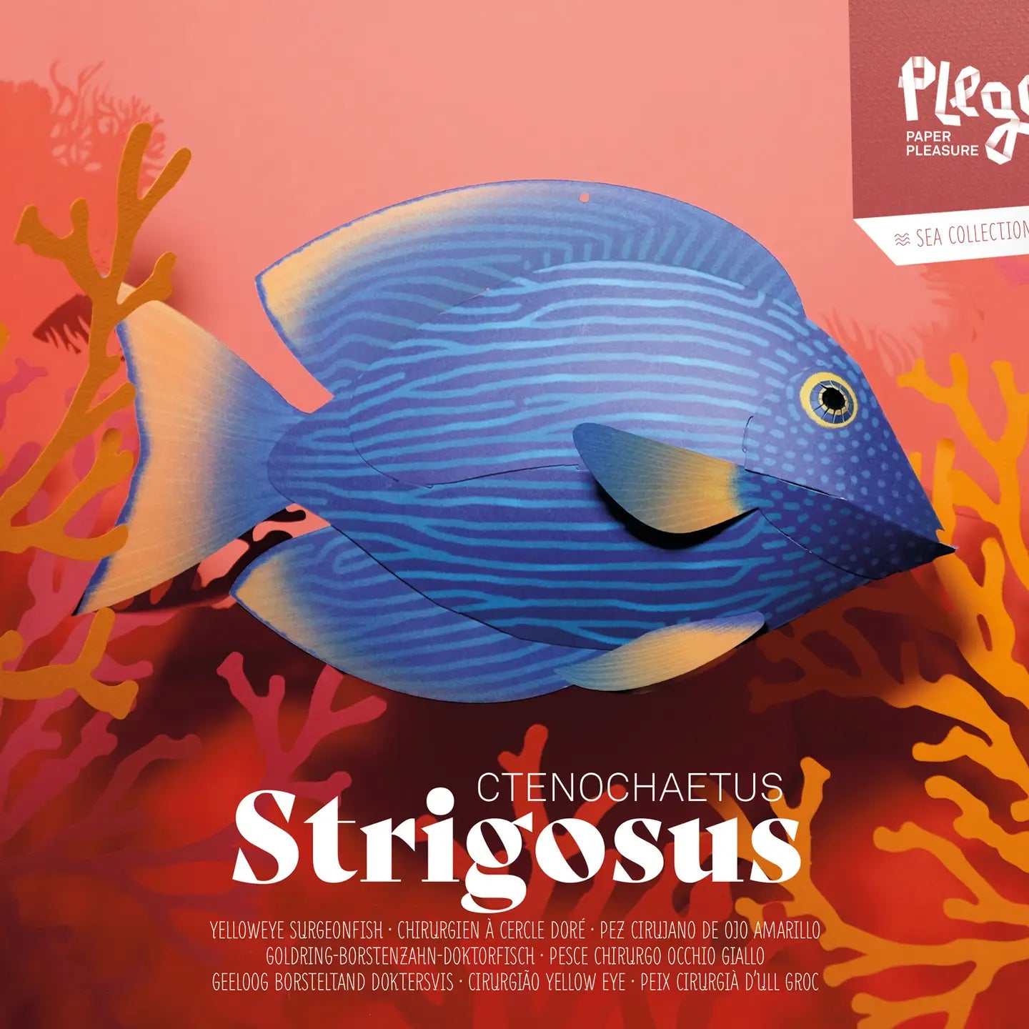Surgeonfish - Fish 3D Paper Figure By Plego – Landmarks Unlimited